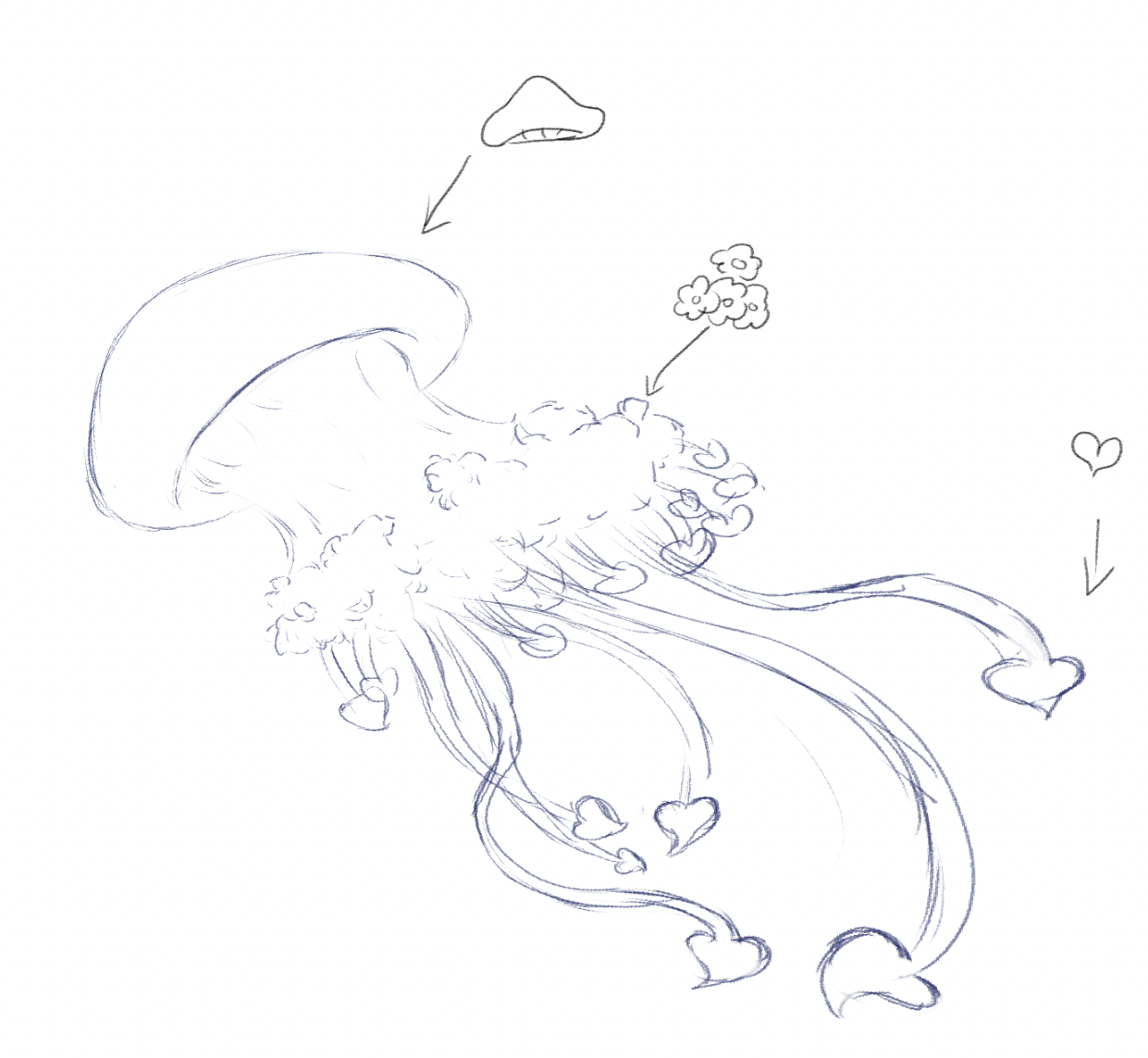 Dibujo Simple De Nutria Marina NUTRIAPEDIA » Nutrias. Enciclopedia