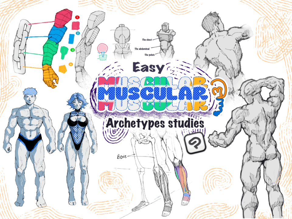 Easy studies to help you in creating of a muscular character by Adöv ...