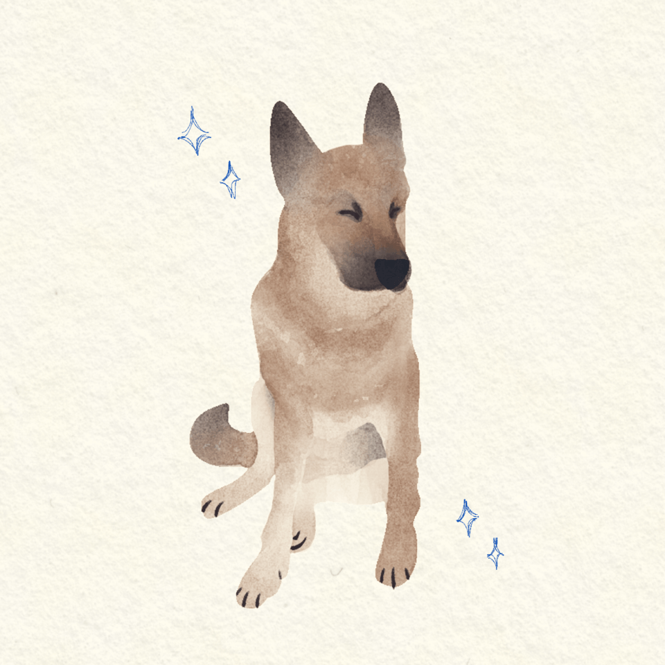 Tips for creating simple watercolor-style illustrations! by minktsu ...