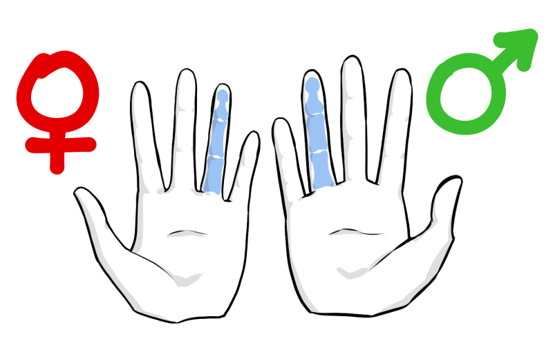 Female Hand Vs Male Hand