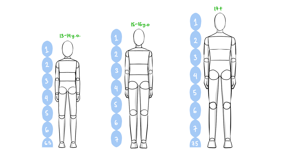 How To Draw Human Body Proportions