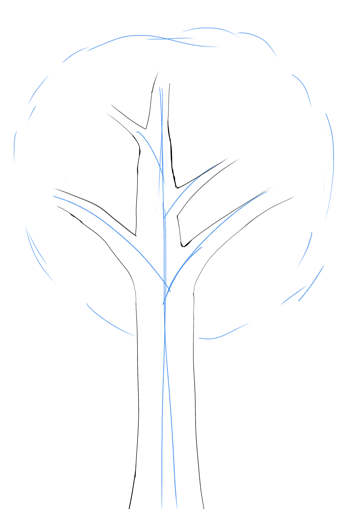 Dibujo Lineal De Corteza De árbol 1.191 Corteza Arbol High Res