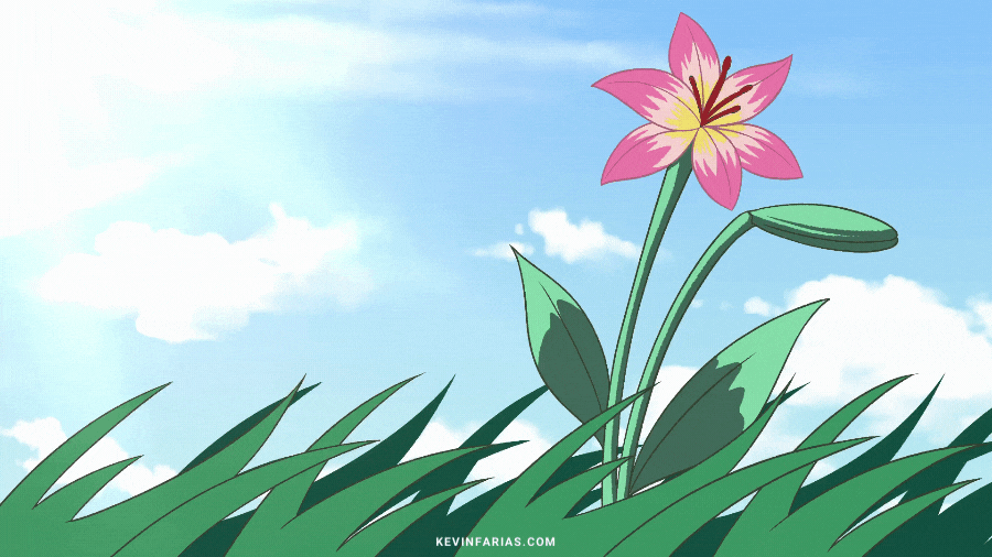 Moving Images Of Flowers