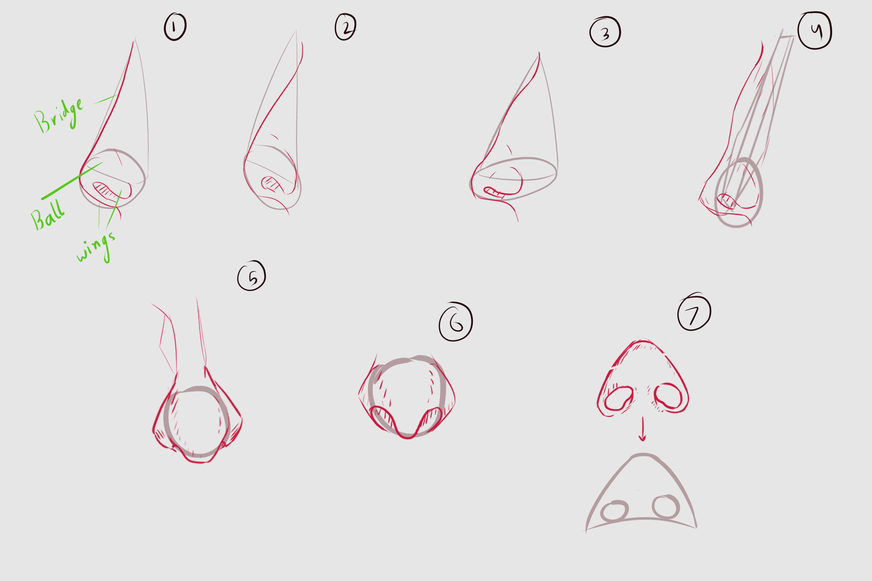 Dibujar Narices Simples