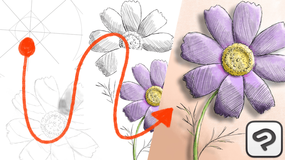 Drawing, inking, shading & painting a Flower in Clip Studio by ...