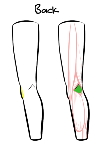 Leg template for tattoo - Bronctattooaus.com