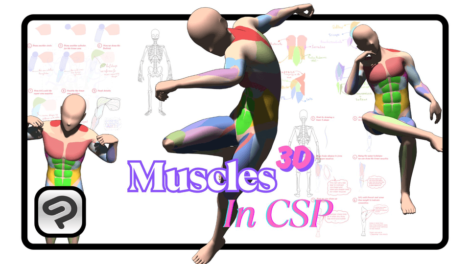 Mastering Muscles: A Comprehensive CSP Tutorial by ScriblingArt - Make ...