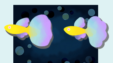 (2) Animating with two images “Your first animation #2” by ...