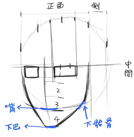 3 4 Cara Dames Top Cara Wit/zwart HEMA