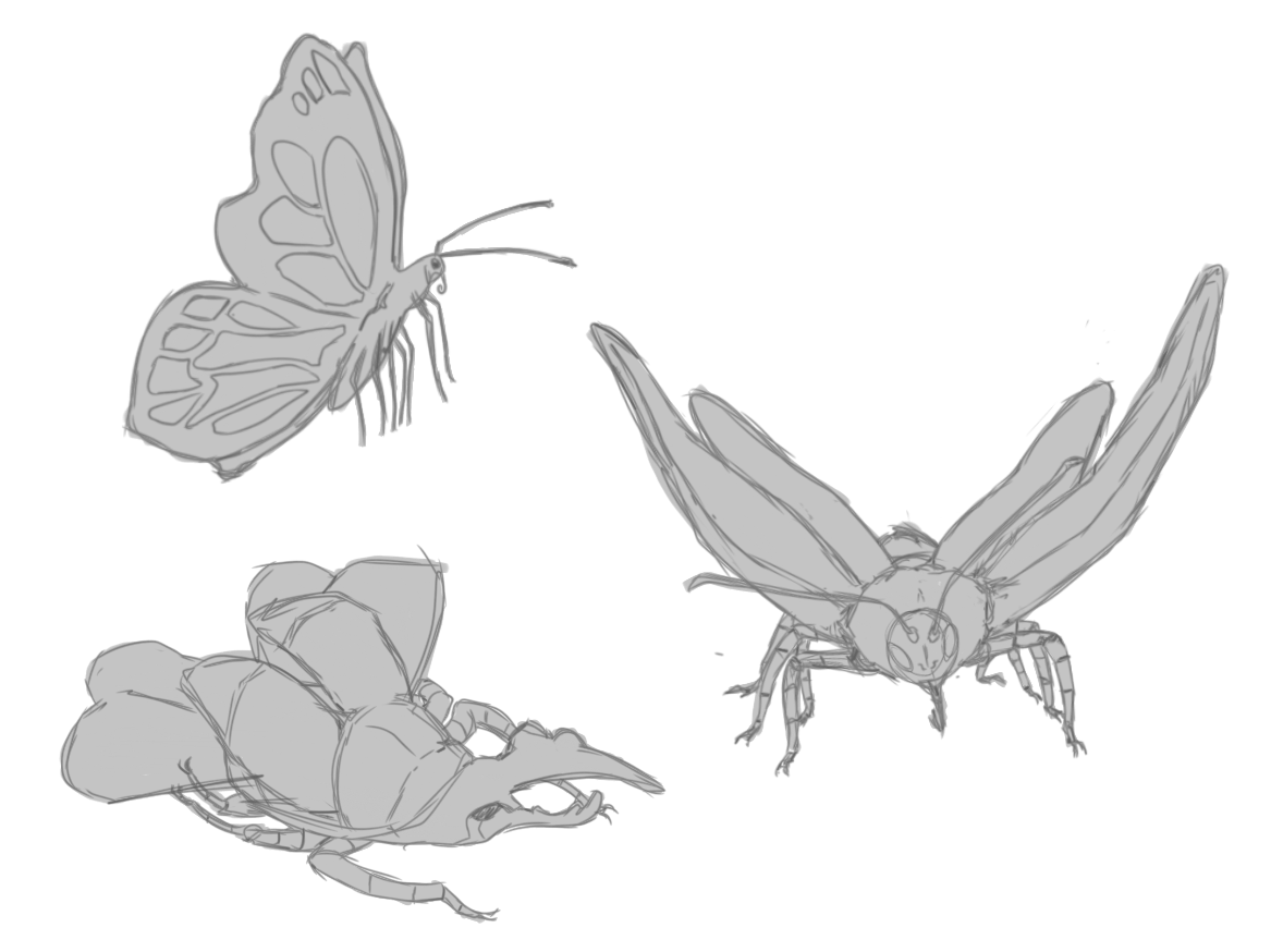 Grasshopper Wings Drawing