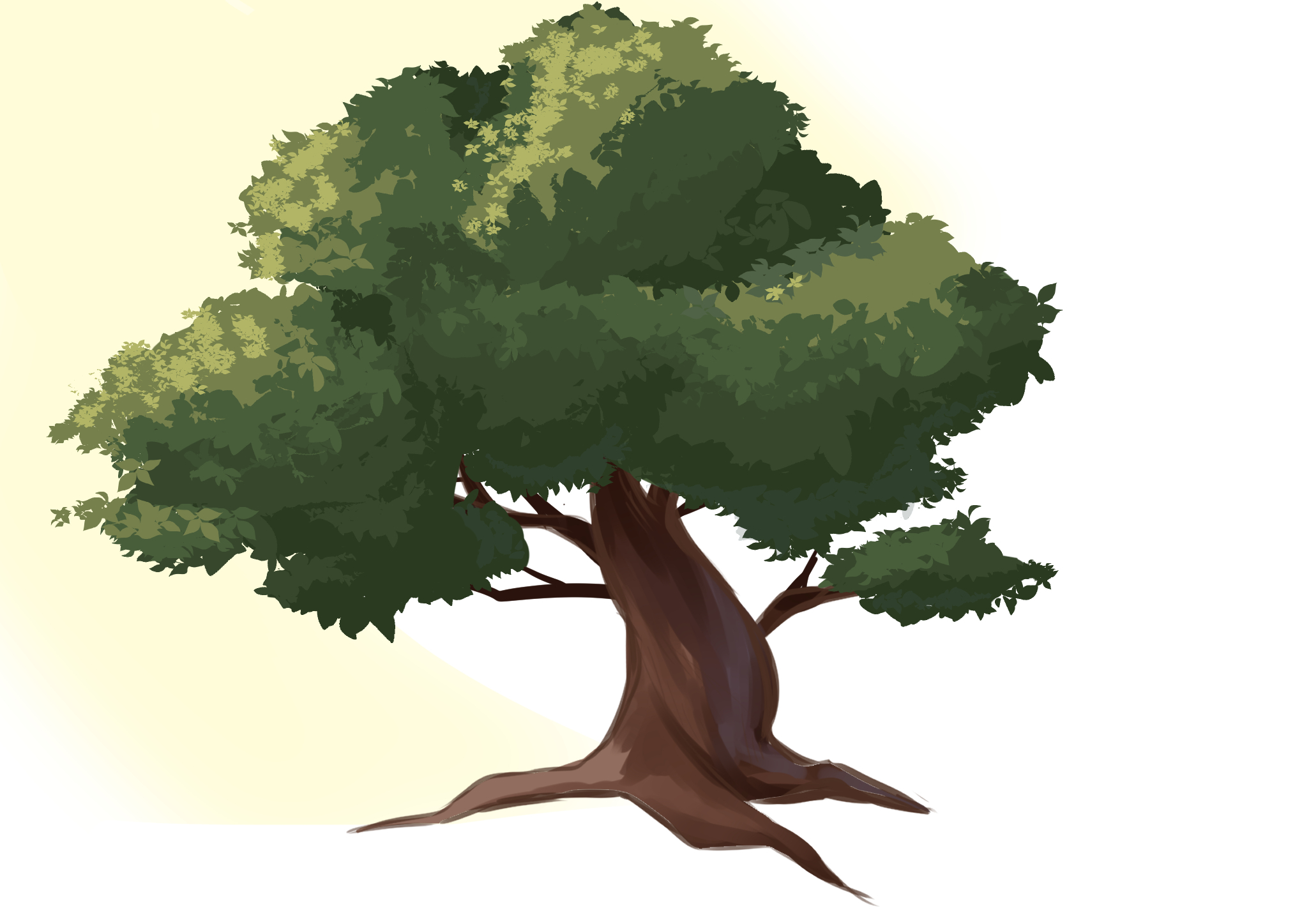 Dibujo De Tronco De árbol Coloreado Como Dibujar Un Arbol Dibujo A