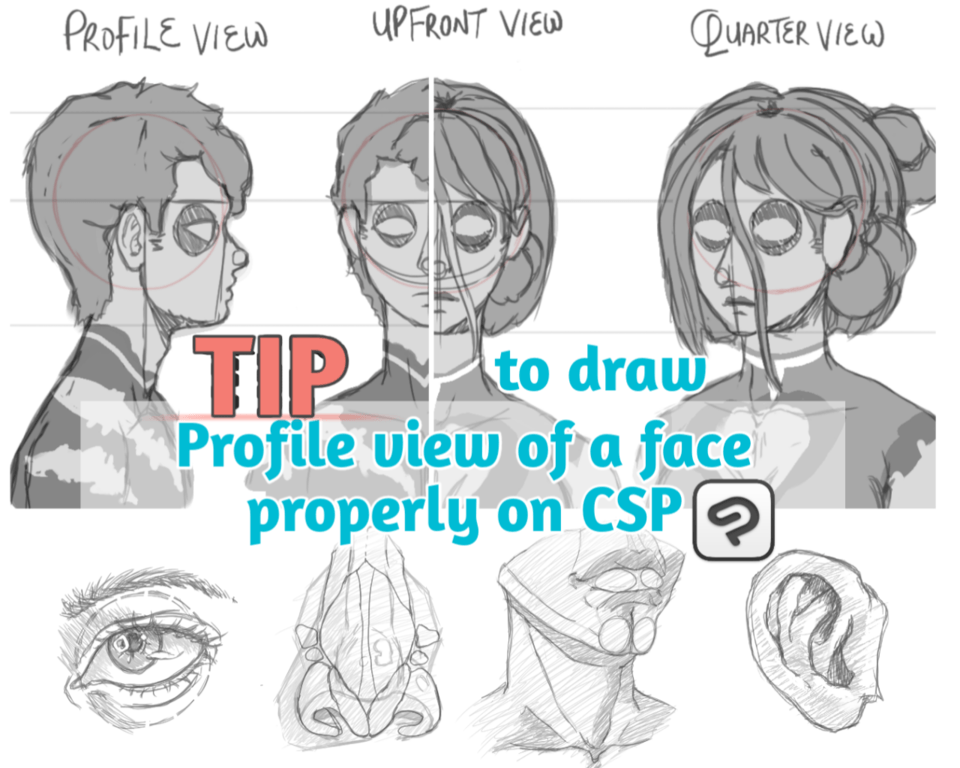 Tips to draw profile view of a face properly on CSP by Adöv_art ...