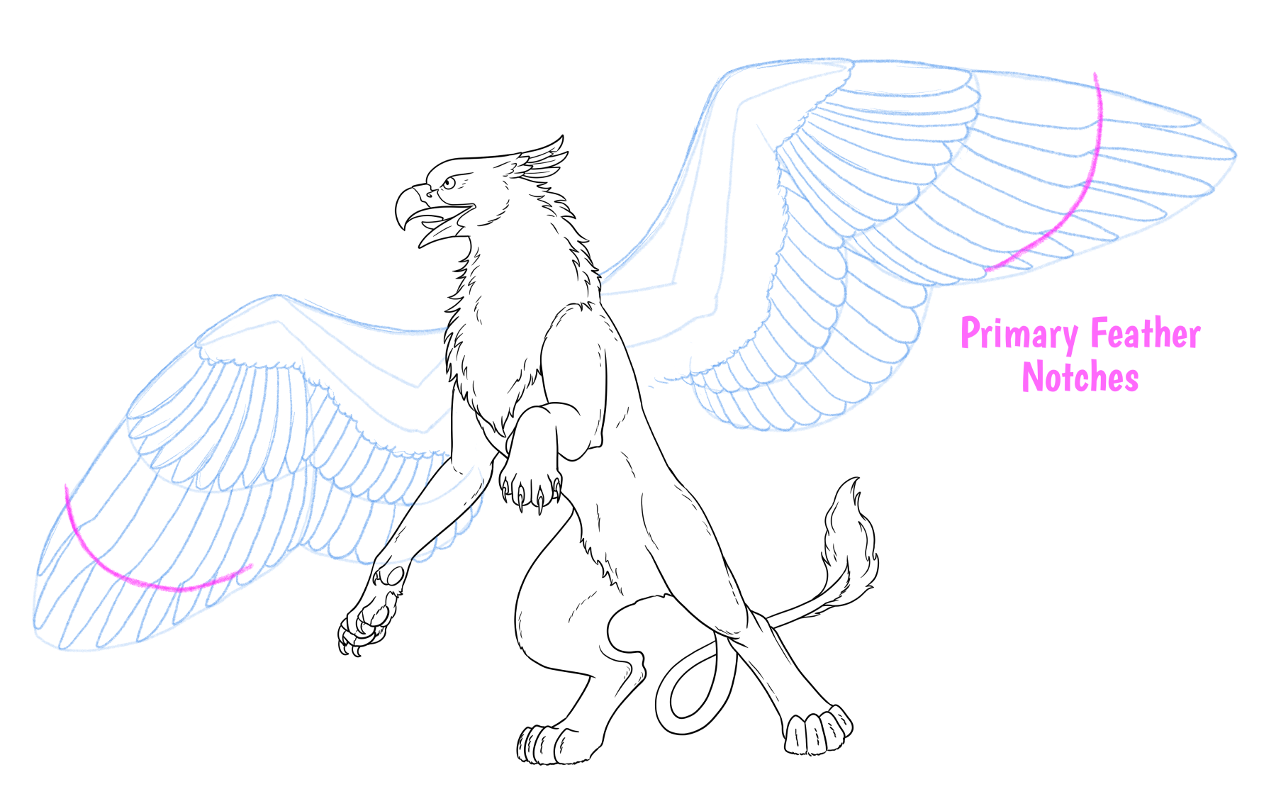 Simple Curved Feather Drawing