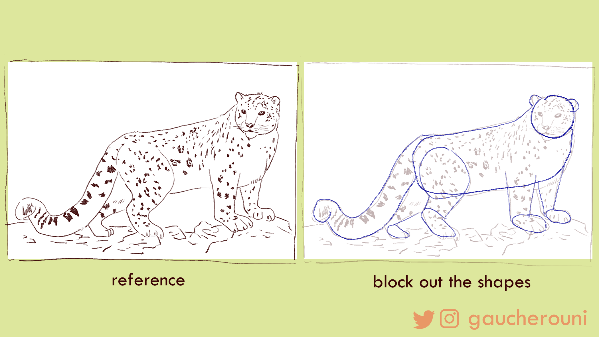 Snow Leopard Drawing Easy