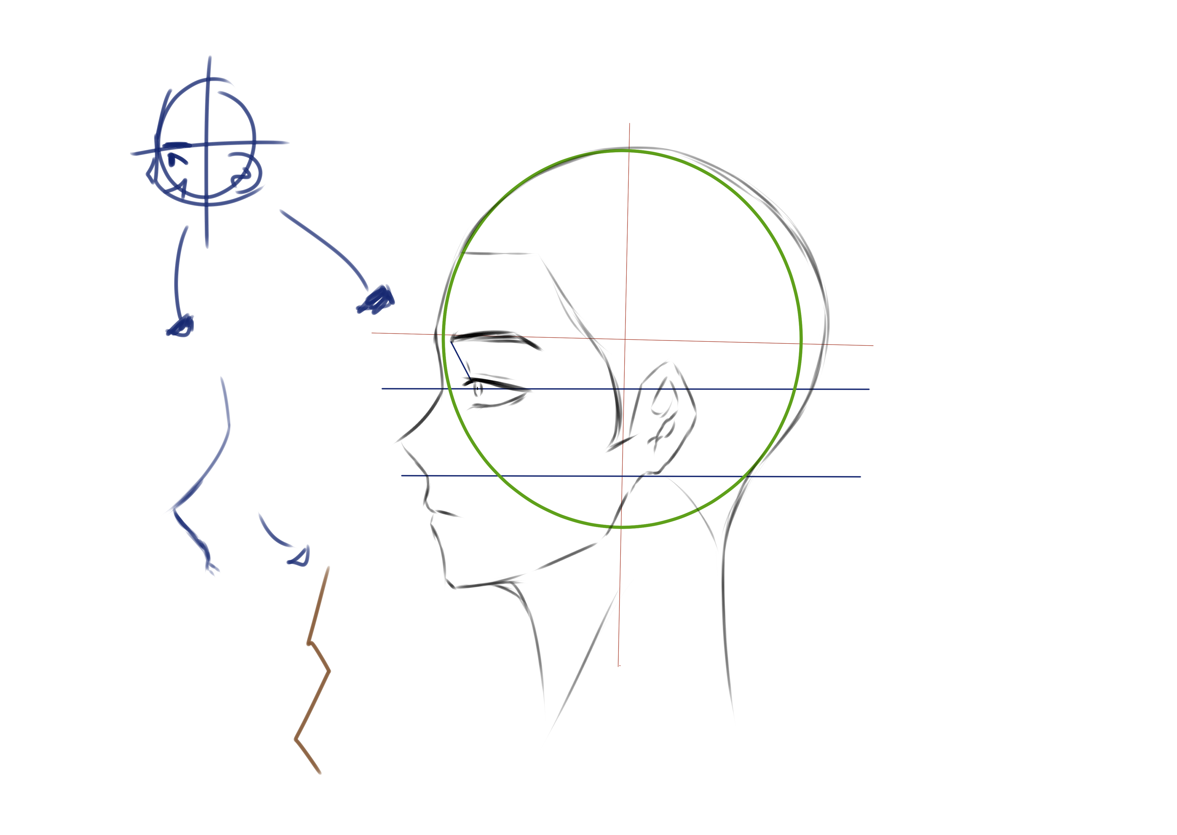 Head Profile Drawing