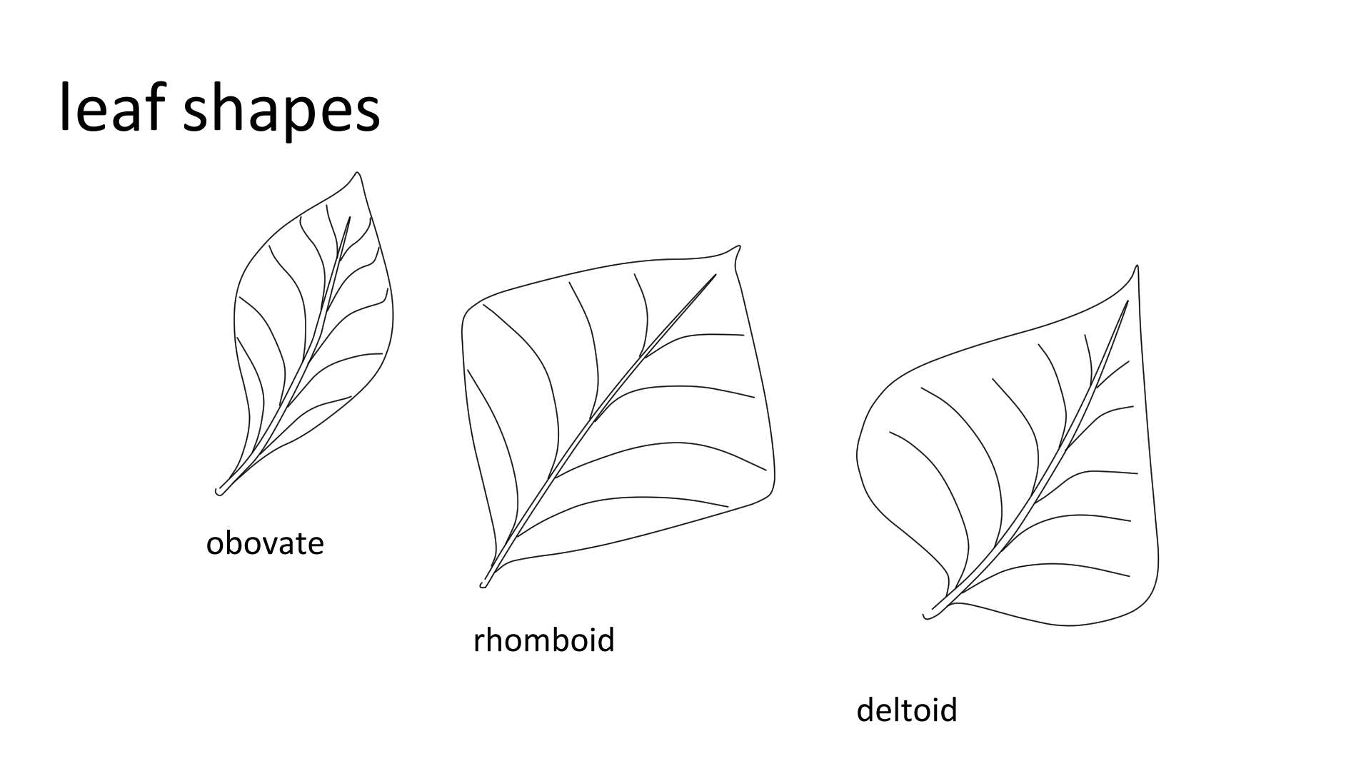 Feuille De Travail Sur Comment Dessiner Des Formes 3d