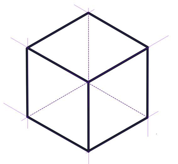 Isometrico Significado