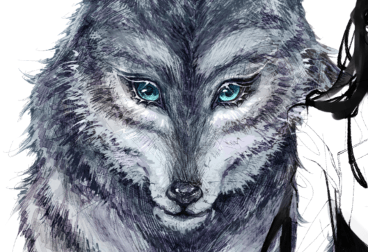 Half Human Half Wolf Face Drawing