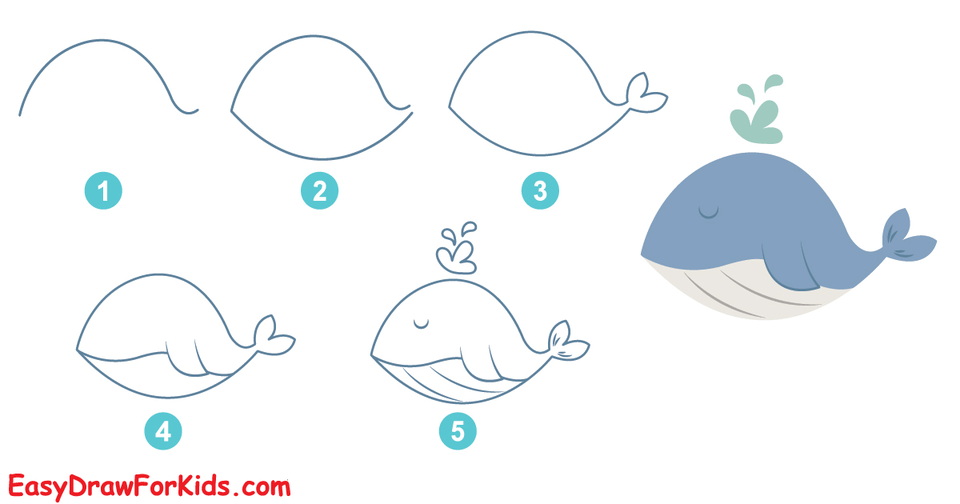 Wie man einen Wal zeichnet von Easydrawforkids - Tipps und Tricks fürs ...