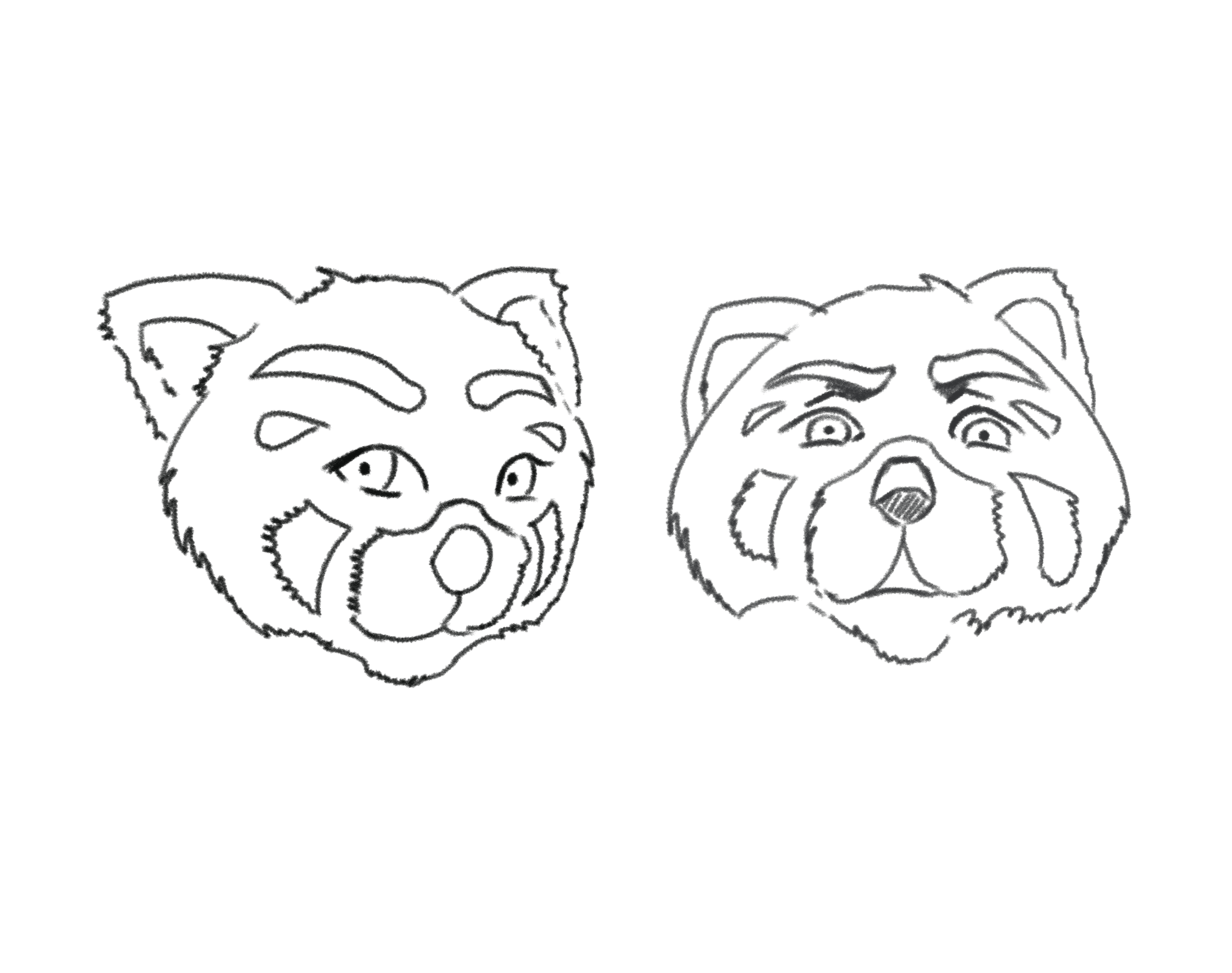 Easy Transformation Drawings