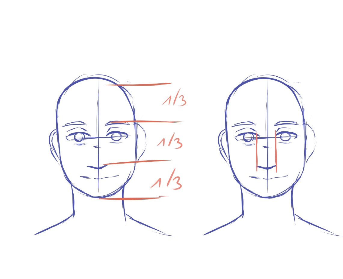 Comment Dessiner Une Forme De Visage Réaliste