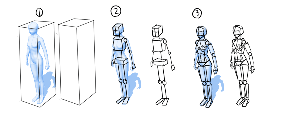 Fundamentals of Drawing: Low Poly Conversion “Underdrawing #5” by こぴとむ ...