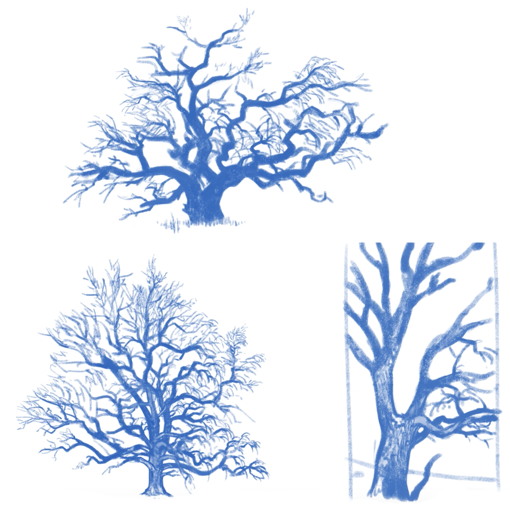 Comment Dessiner Un Arbre étape Par étape Facilement Comment