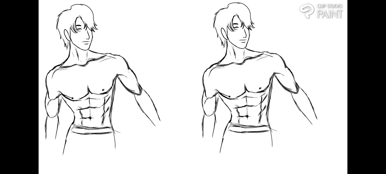 Sketch Muscle
