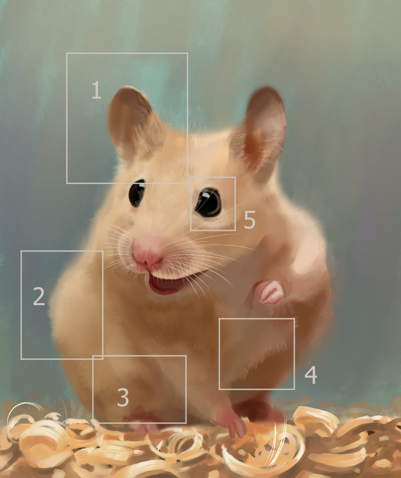 Dwarf Hamster Drawing