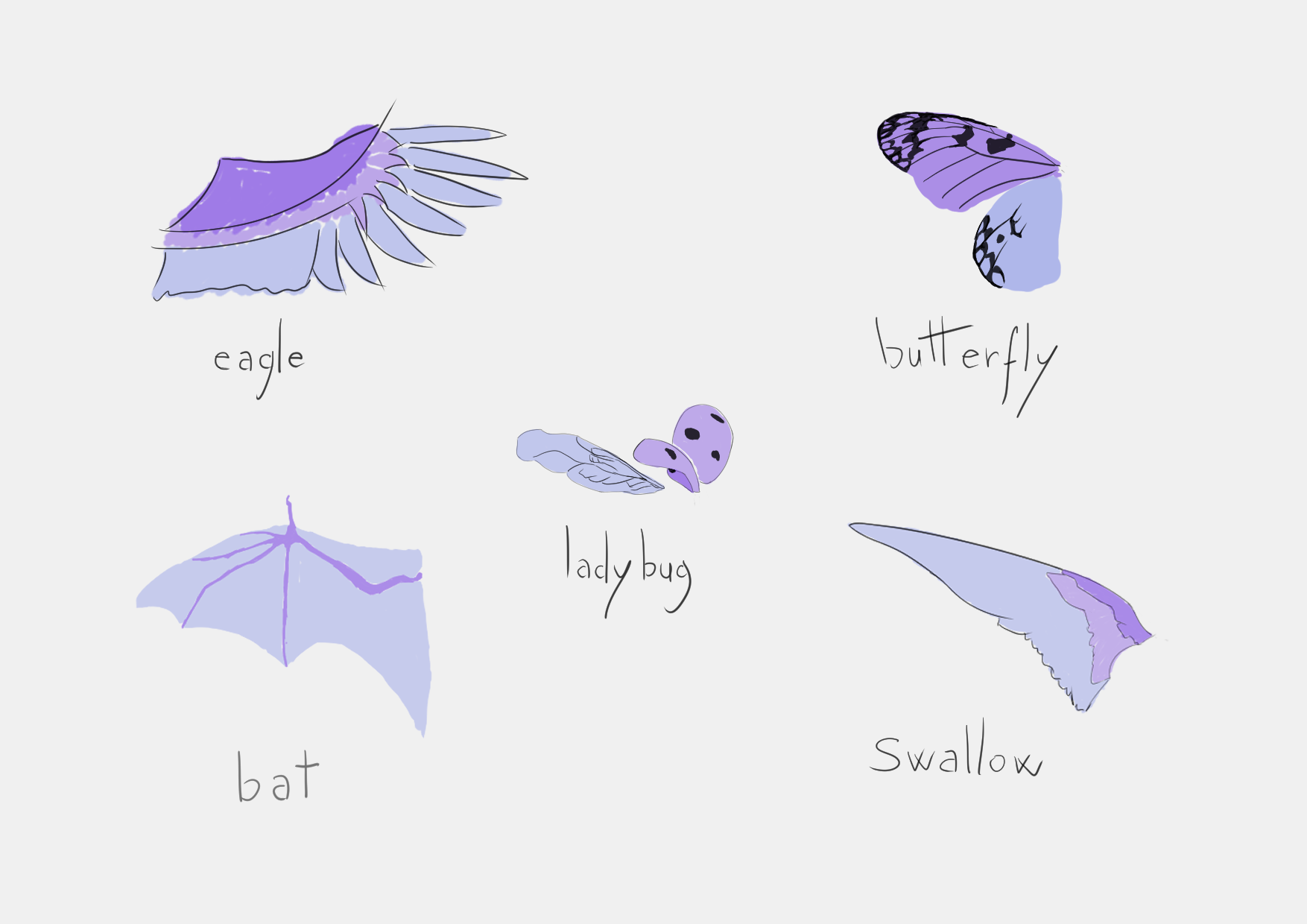 Realistic Wings Drawing