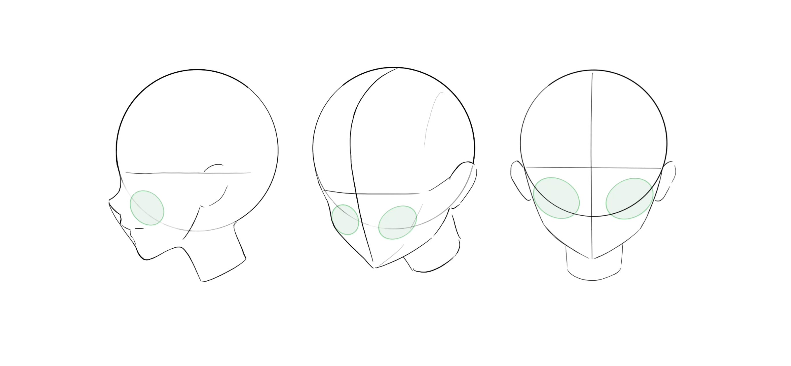 How To Draw Head Looking Down