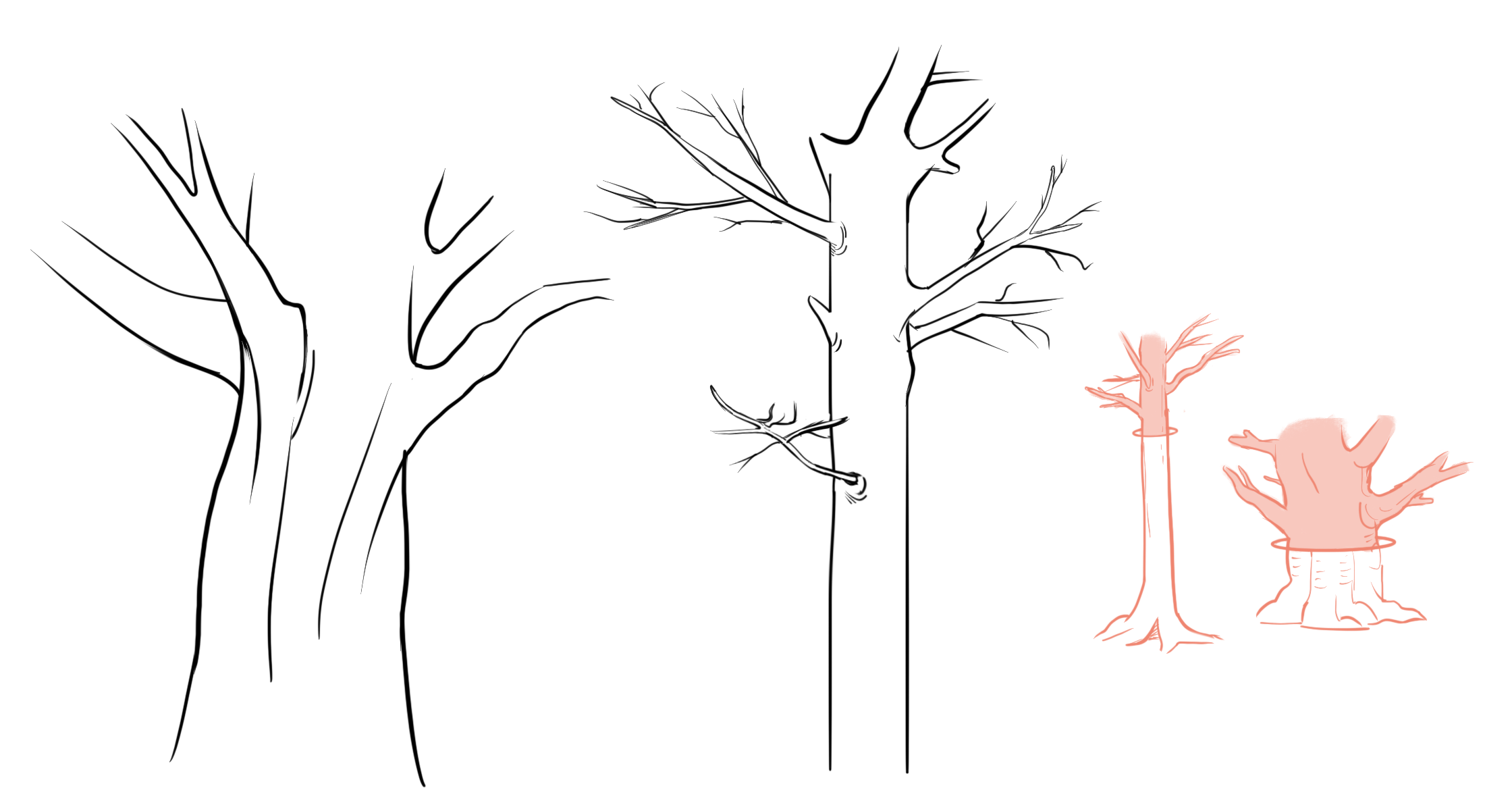 Thick Tree Trunk Sketch