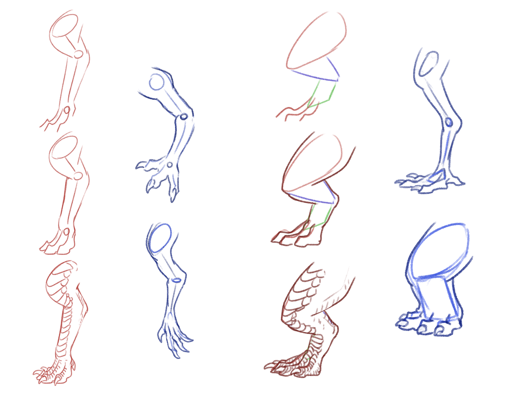 How To Draw Dragon Legs