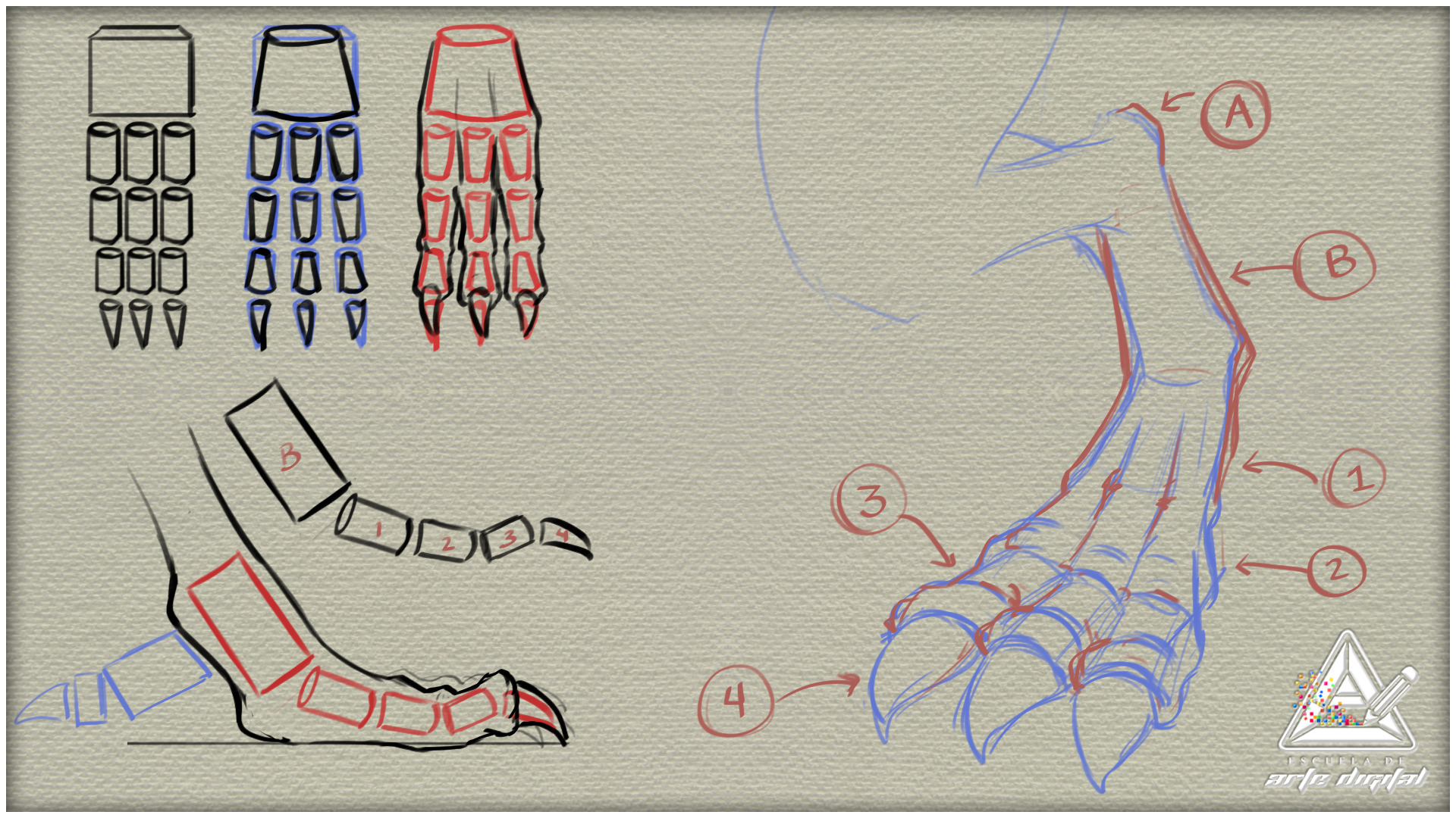 How To Draw Dragon Back Legs