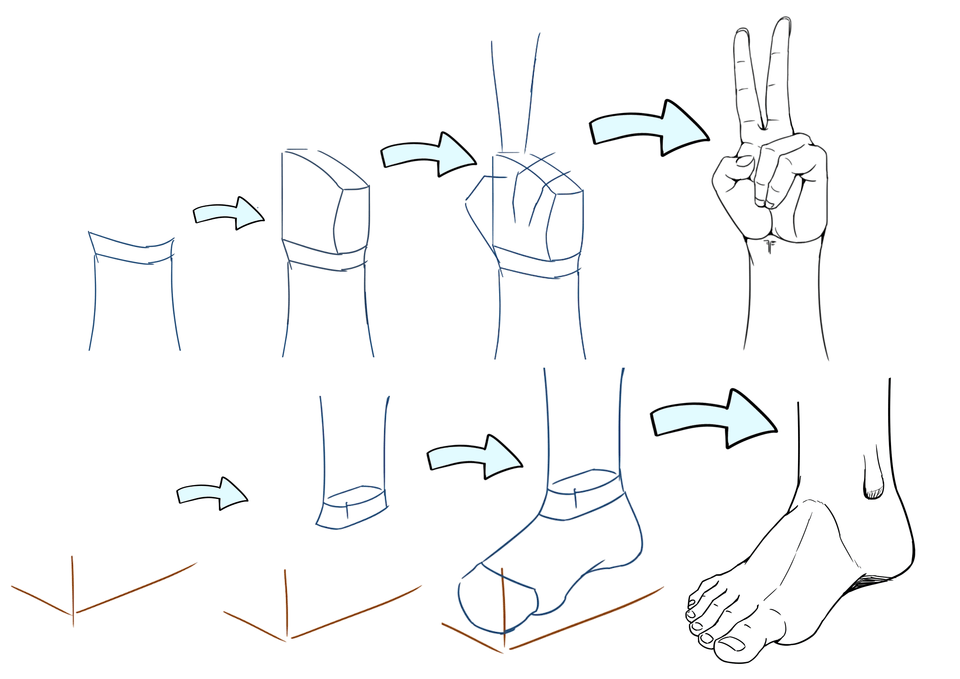 A Systematic Guide to Drawing Hands and Feet by Joseph77 - Make better ...