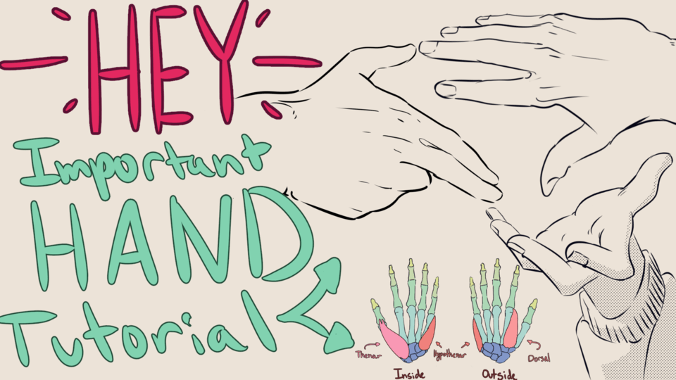 Important Hand Tutorial! + Video “How to draw #1” by jaysteven - Make ...