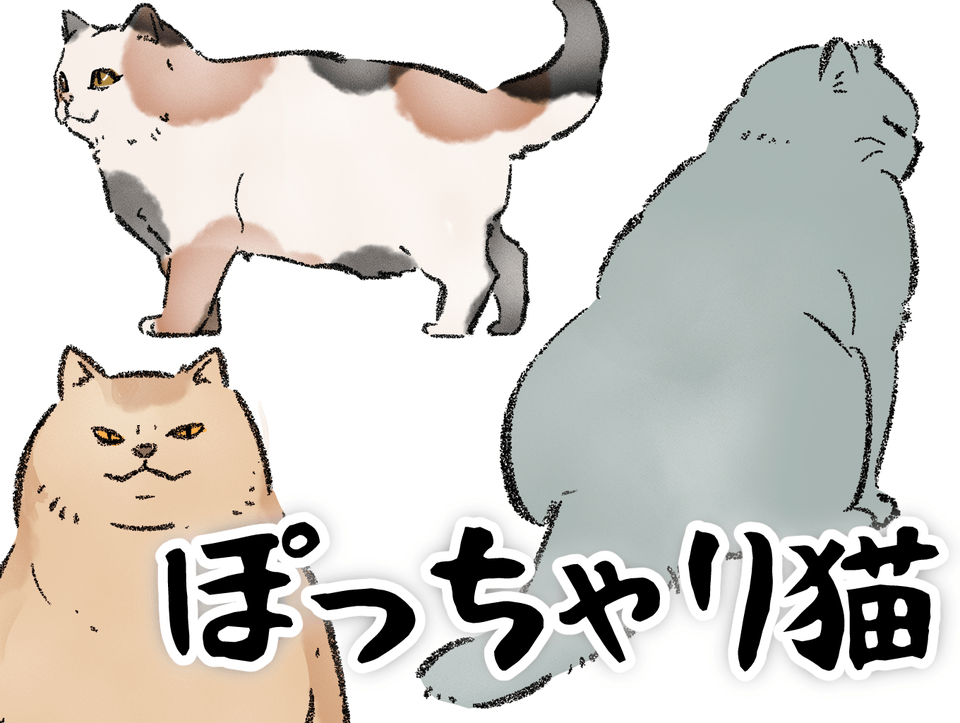 [For those who want to draw a convincing chubby cat] Explaining how a ...