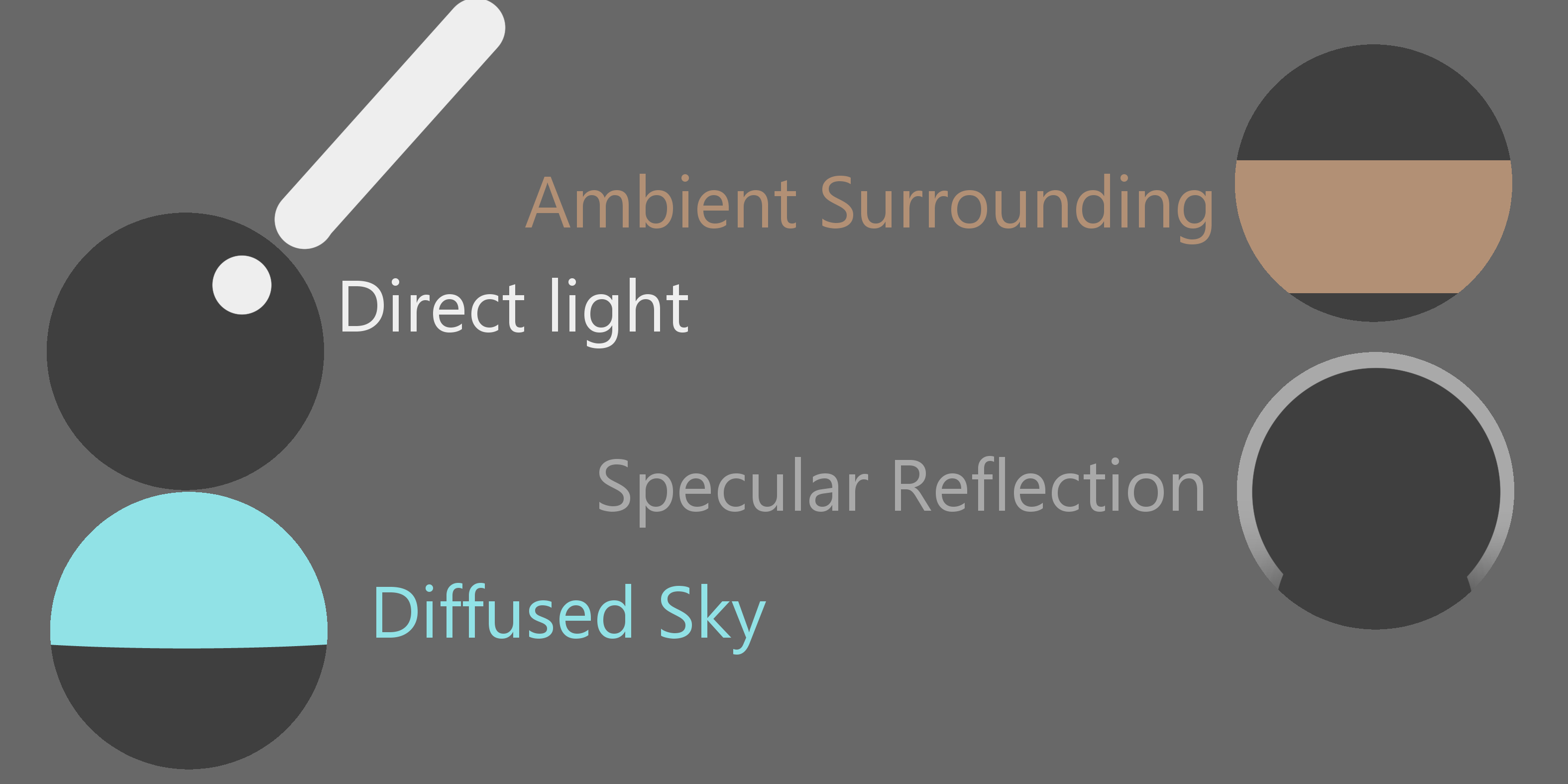 Specular Light Photography