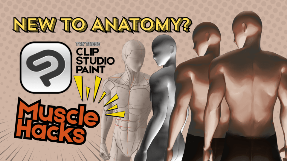 New to Anatomy? Try These CSP Muscle Hacks by skip_a_level - Make ...