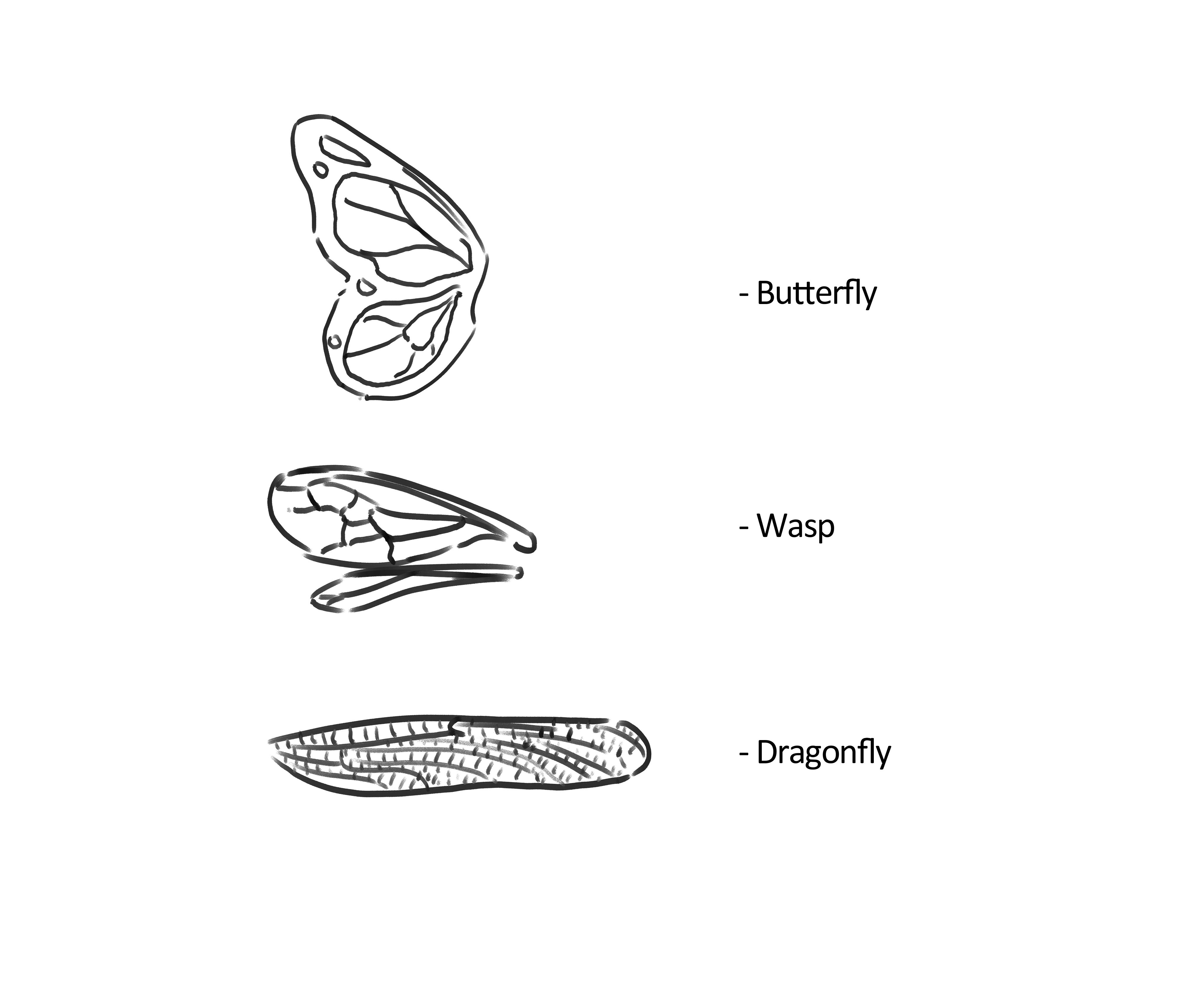 Add any wings to your character made simple! “Character's tips of the ...