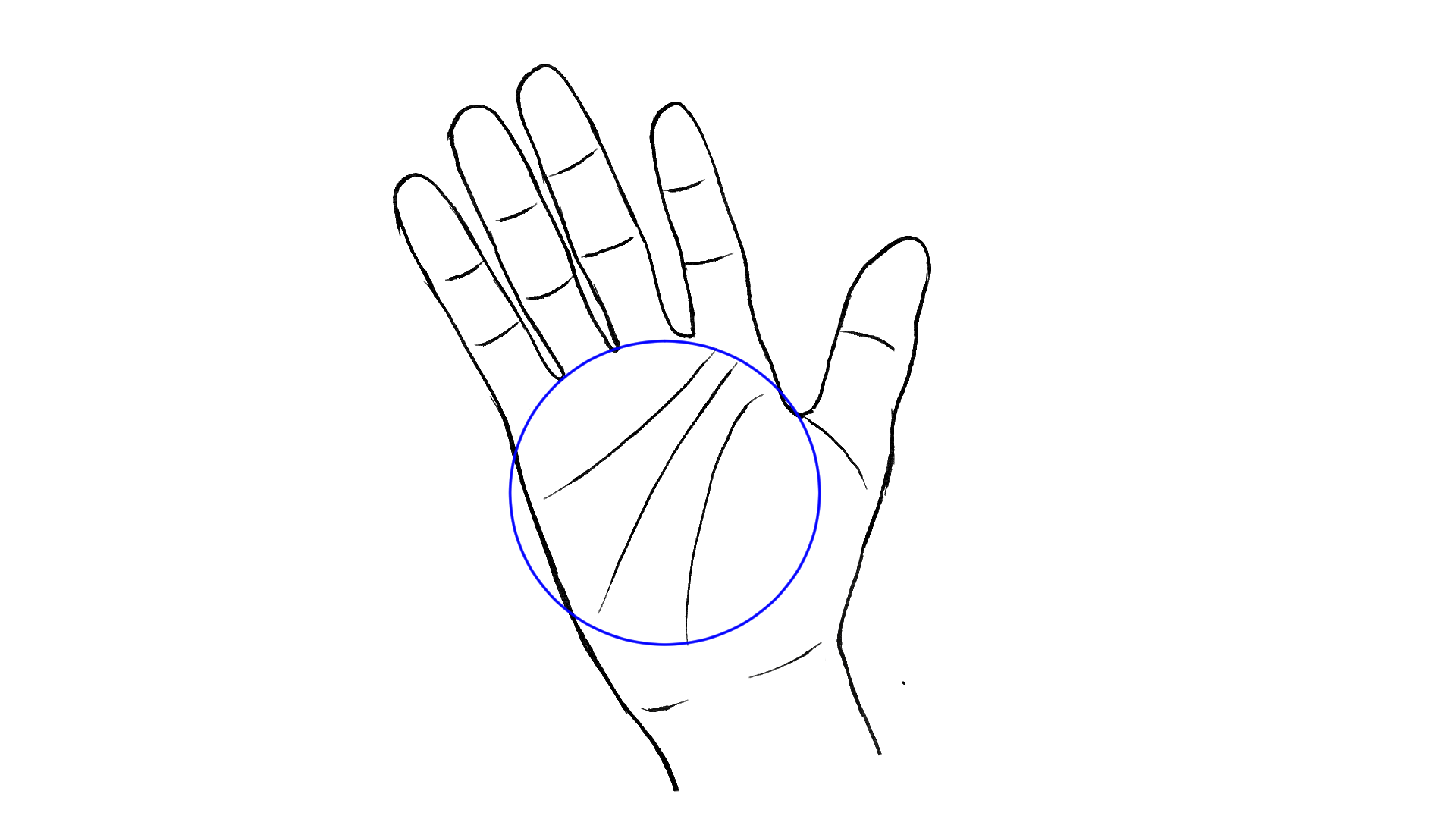 Right Hand Palm Drawing