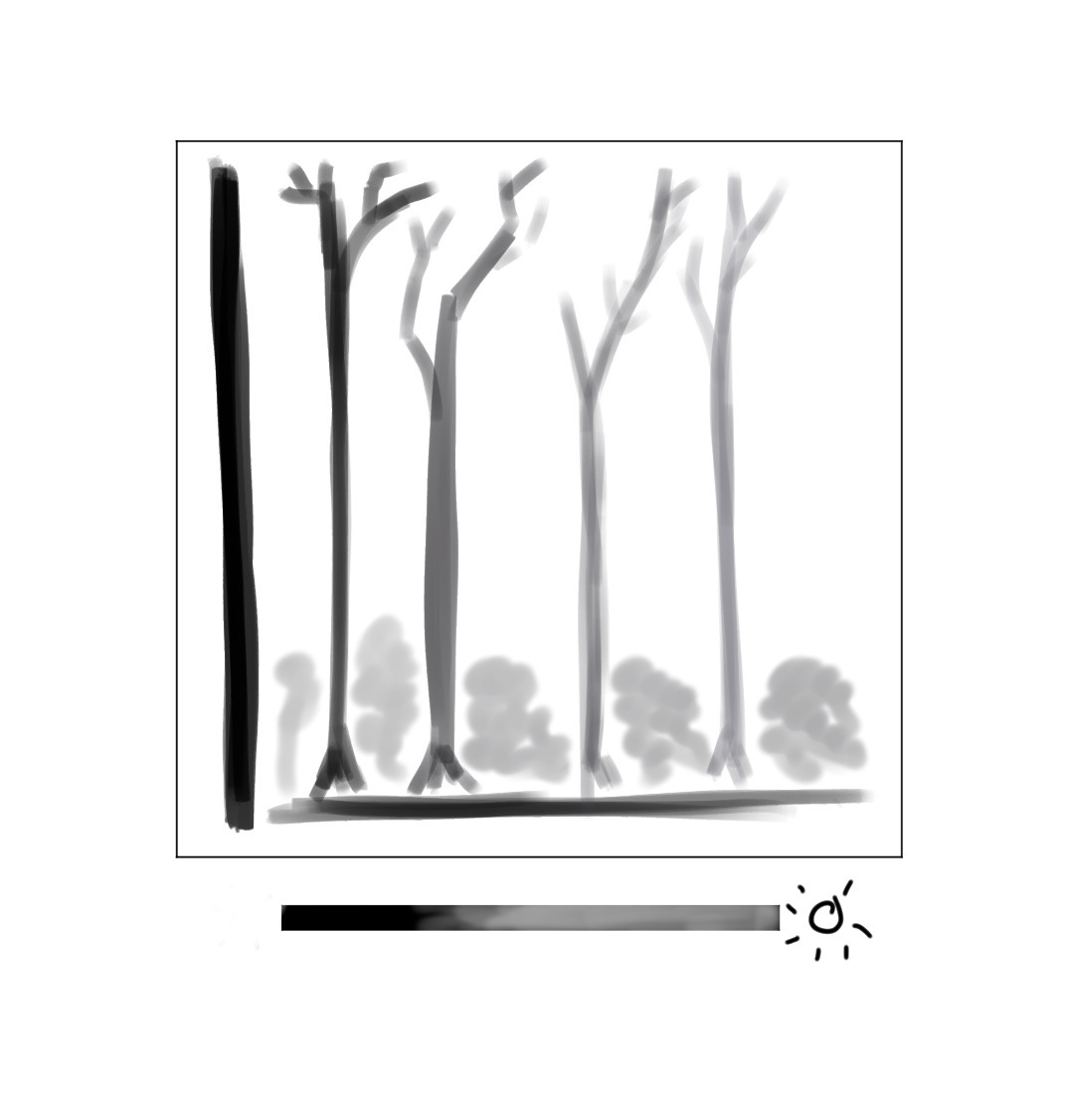 Images De Dessin De Forêt