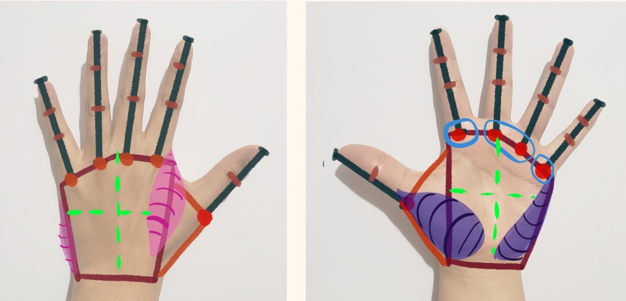 Cómo Dibujar Una Mano En 3d