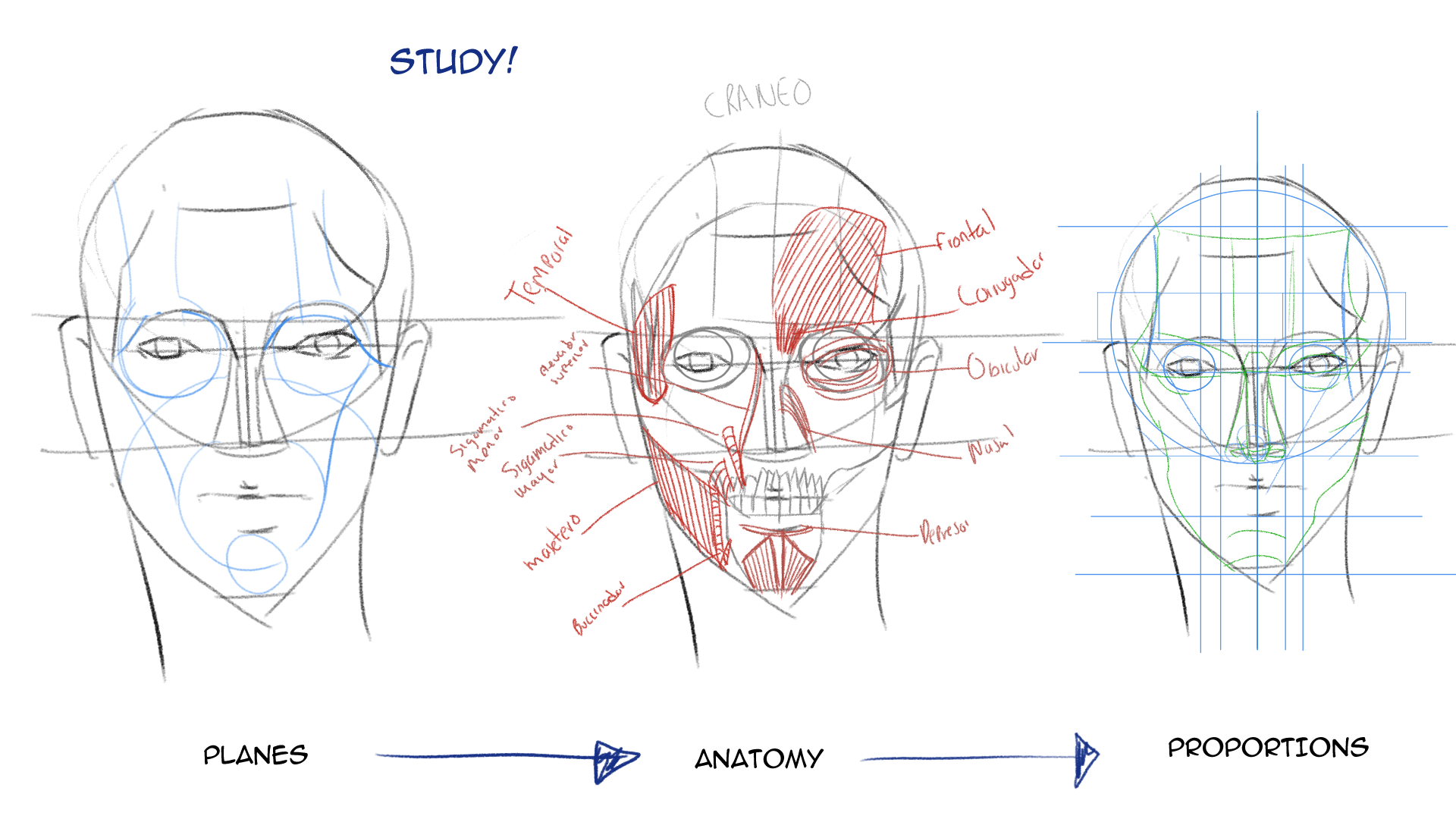 How to improve line art (Beginner's Guide) by Kevinhernandezr - Make ...